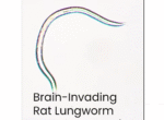 Rat Worm Lung Disease Is Spreading—Here’s What You’re Not Being Told ...